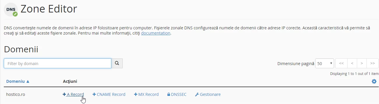 Adding an A record using the DNS Zone Editor | Hostico